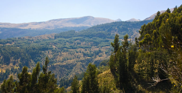 Parque Nacional Tunari (área protegida de Bolivia) | Cochabamba