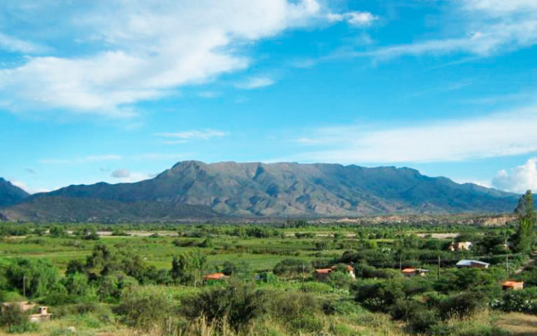 Valle de Calamuchita, principal productor de uva de Tarija - Bolivia